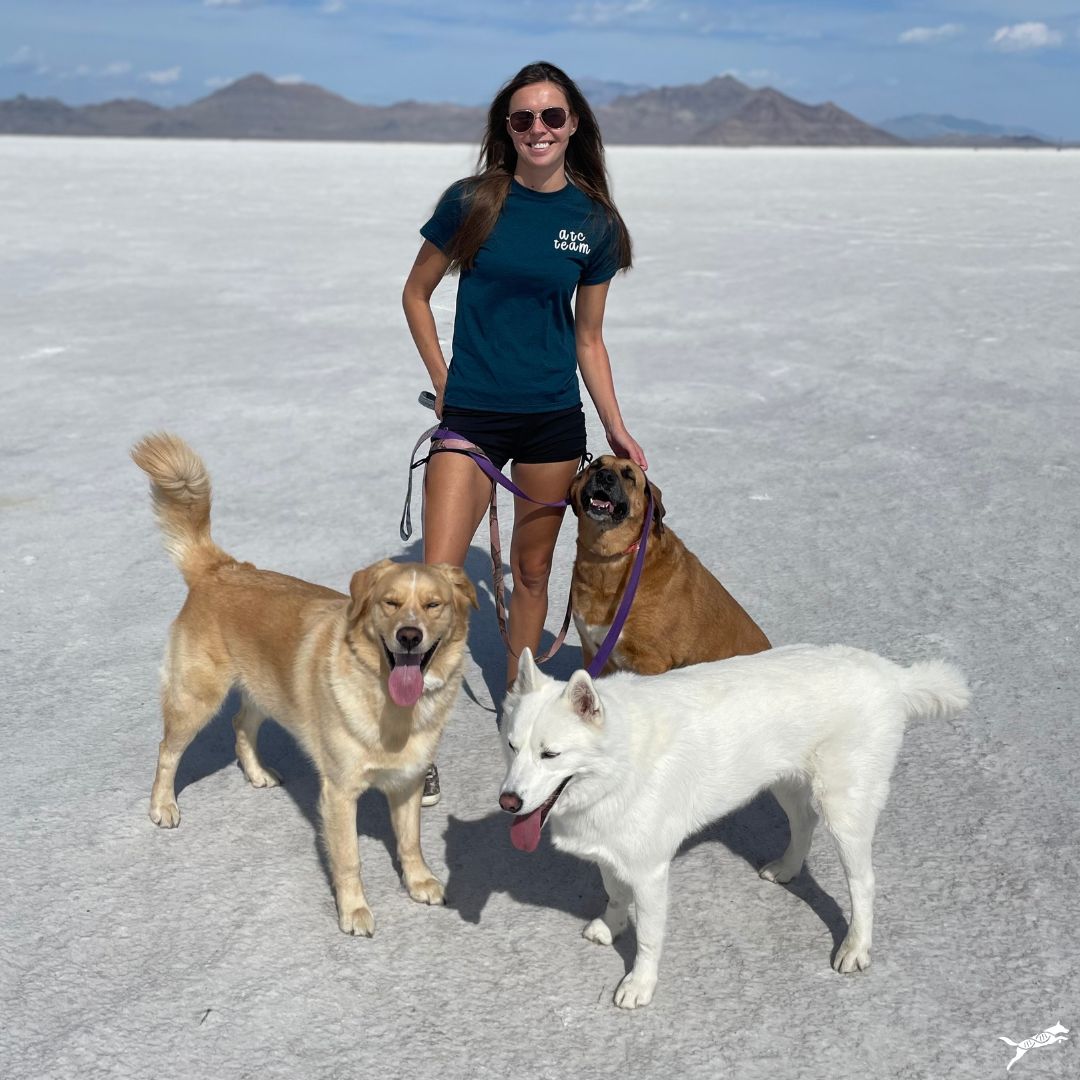 AlphaDog DNA Tests | Know Your Dog Down to the DNA