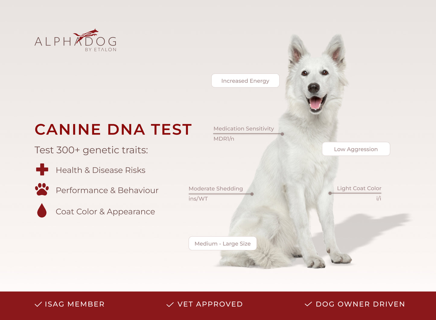 AlphaDog DNA Tests | Know Your Dog Down to the DNA