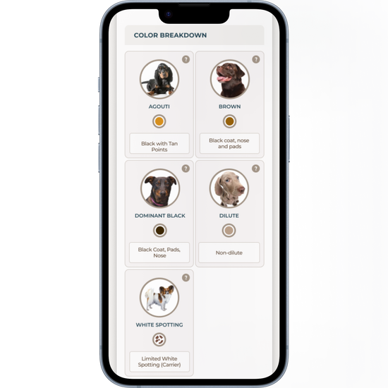 AlphaDog DNA Tests | Know Your Dog Down to the DNA