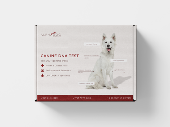 AlphaDog DNA Tests | Know Your Dog Down to the DNA