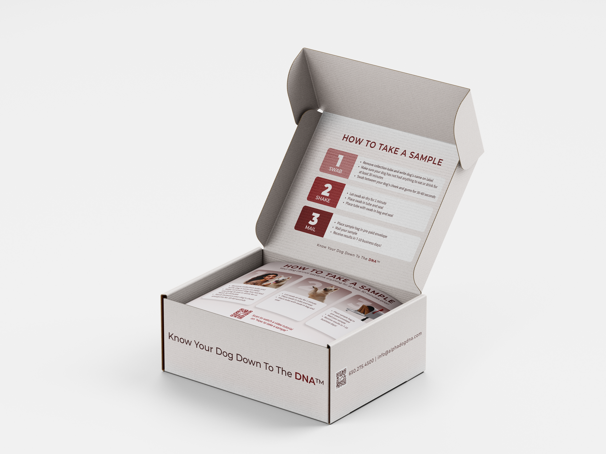 AlphaDog DNA Tests | Know Your Dog Down to the DNA