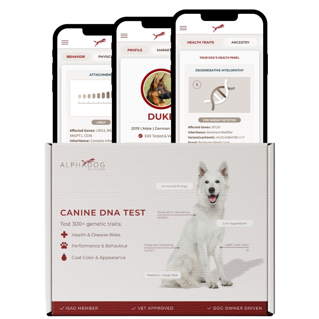 AlphaDog DNA Tests | Know Your Dog Down to the DNA