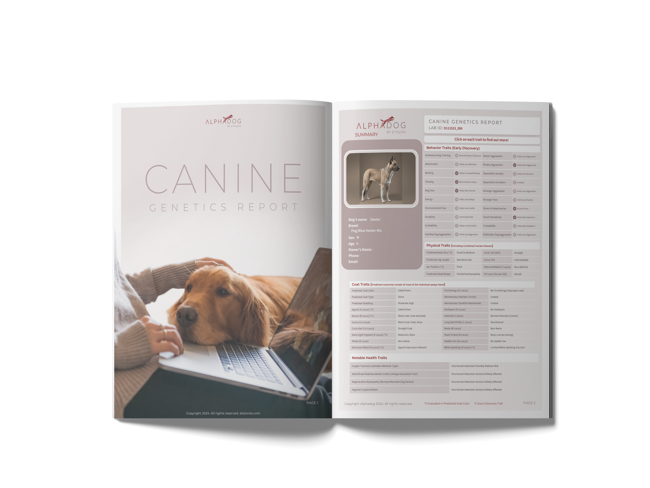 AlphaDog DNA Tests | Know Your Dog Down to the DNA